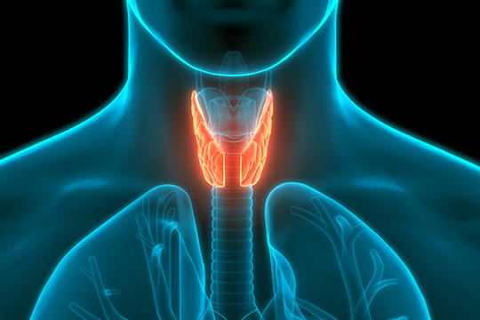 A Minimally Invasive Solution for Benign Thyroid Nodules ...
