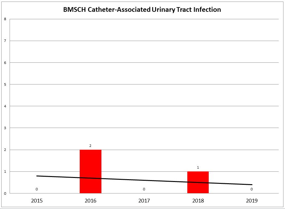Catheter Associated Urinary Tract Statistics | RWJUH New Brunswick